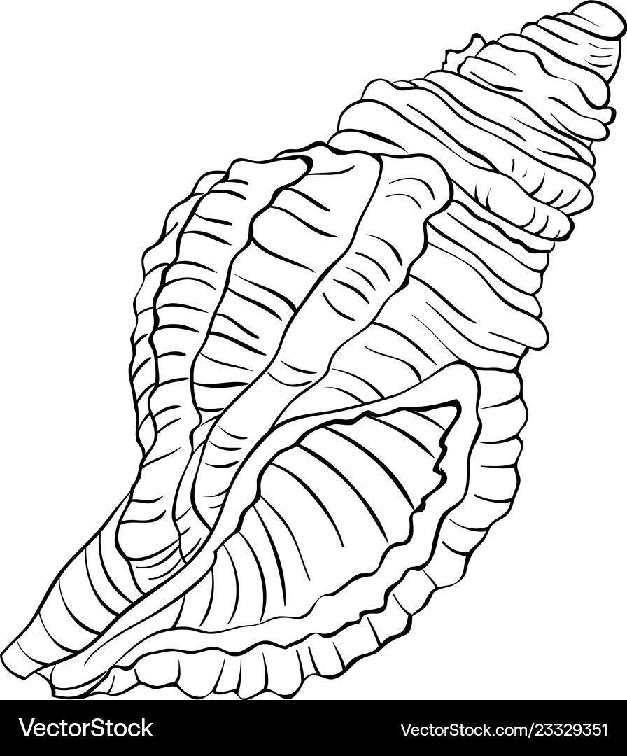 Adult coloring bookpage a cute shell Royalty Free Vector