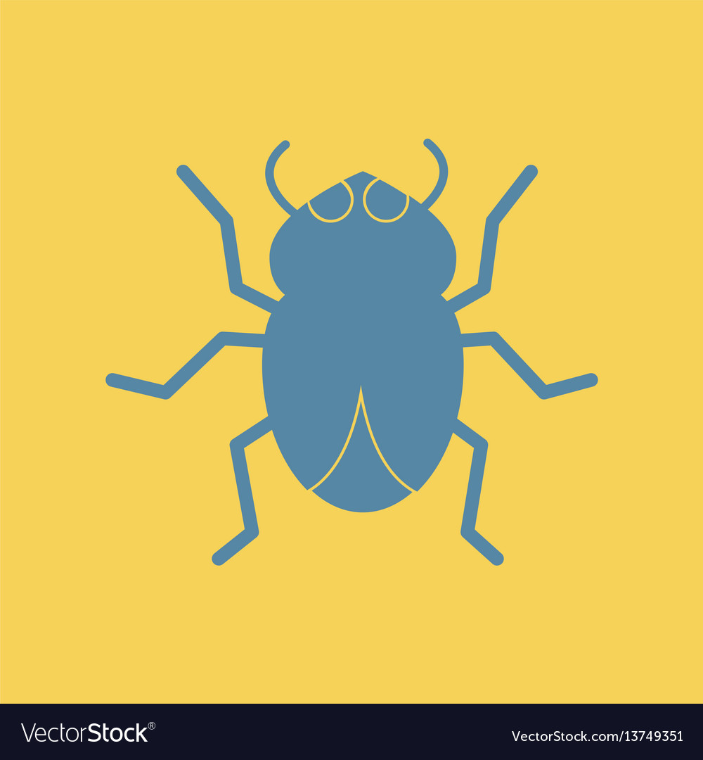 Beetle insect Royalty Free Vector Image - VectorStock