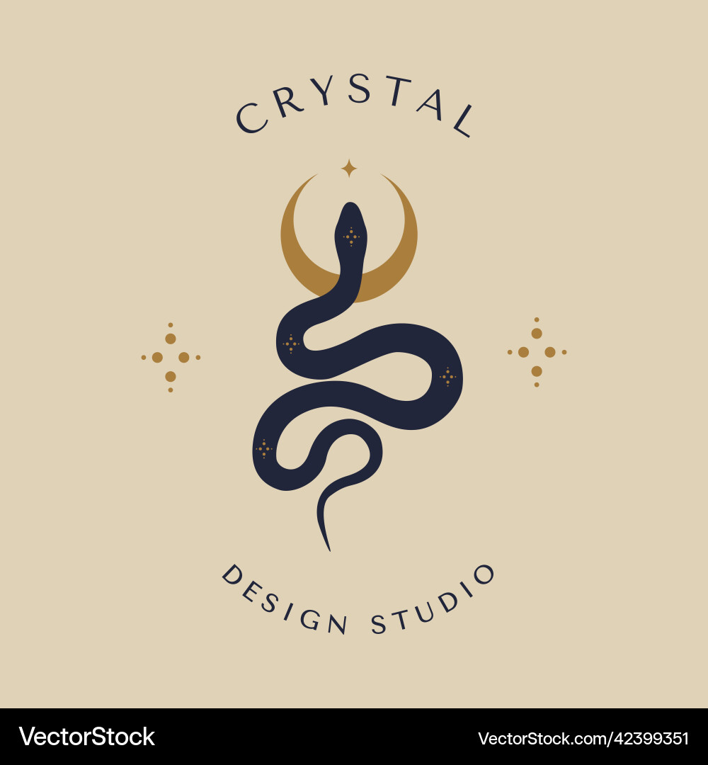 Magic snake with moon star and crescents Vector Image