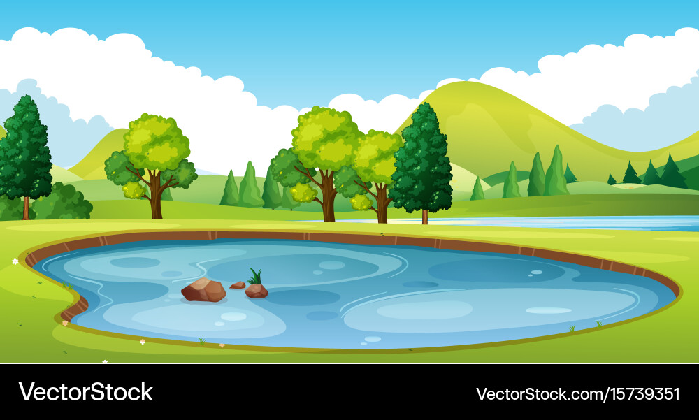 Scene with pond in the field Royalty Free Vector Image