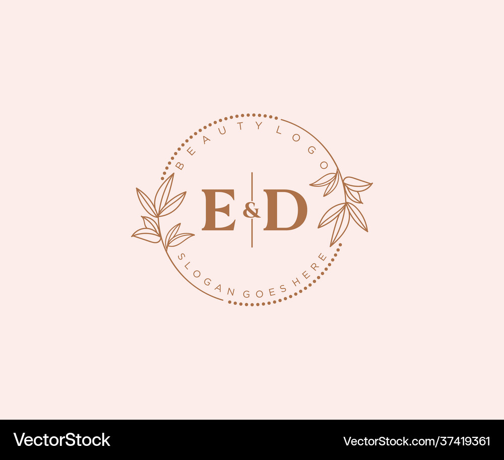 Initial ed letters beautiful floral feminine Vector Image