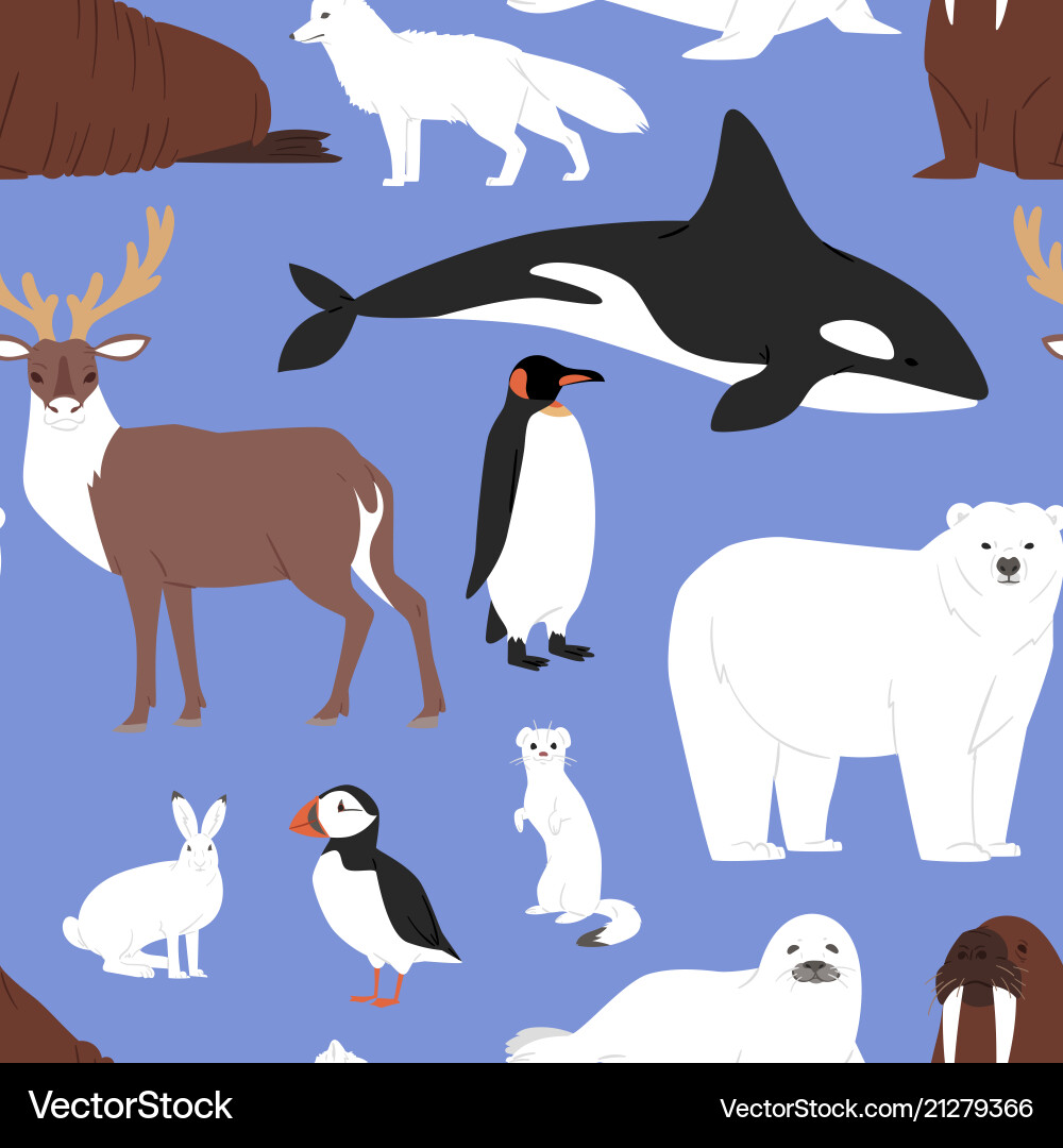 Arctic animals cartoon polar bear or Royalty Free Vector