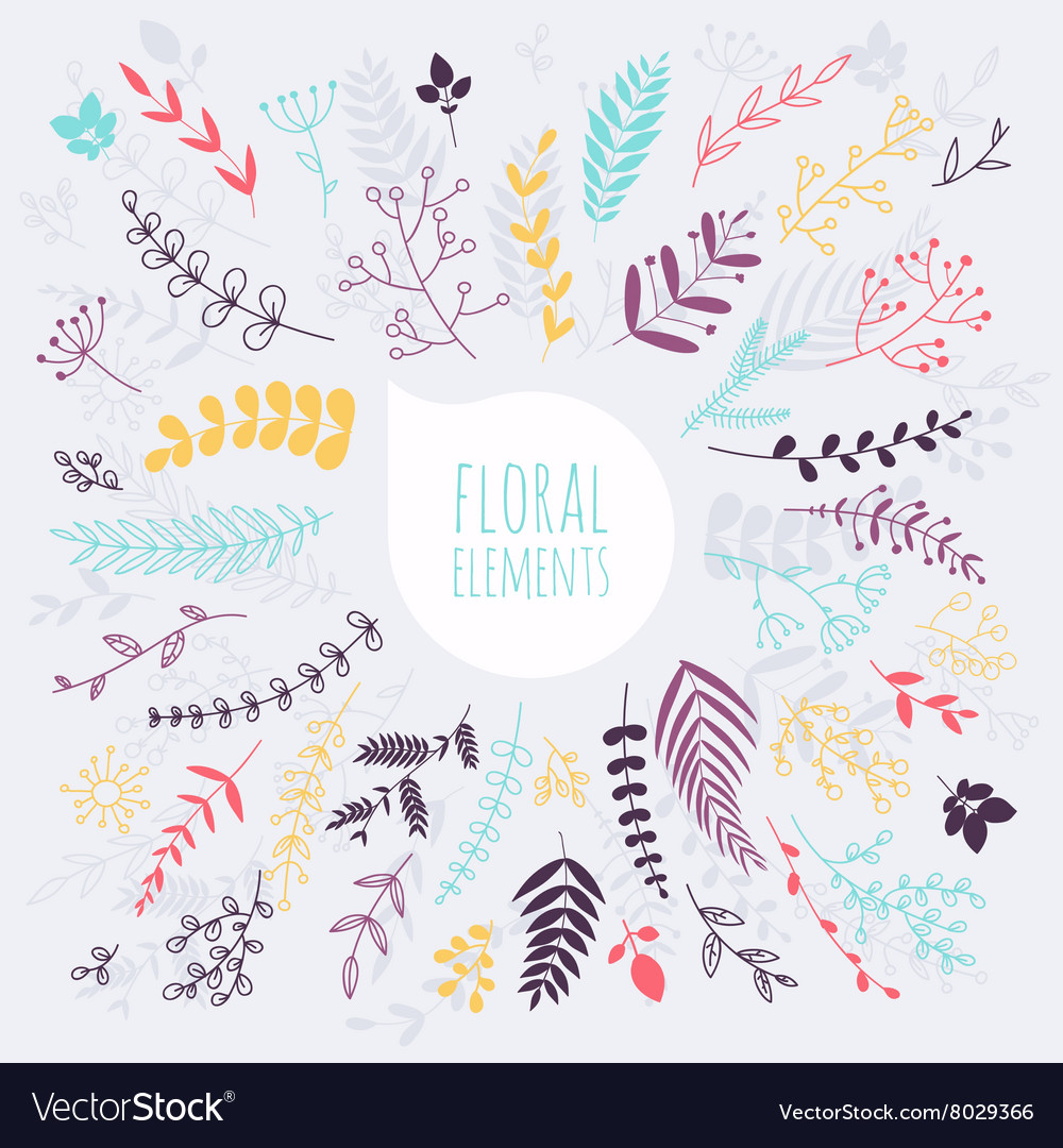Floral elements Hand drawn design elements Vector Image