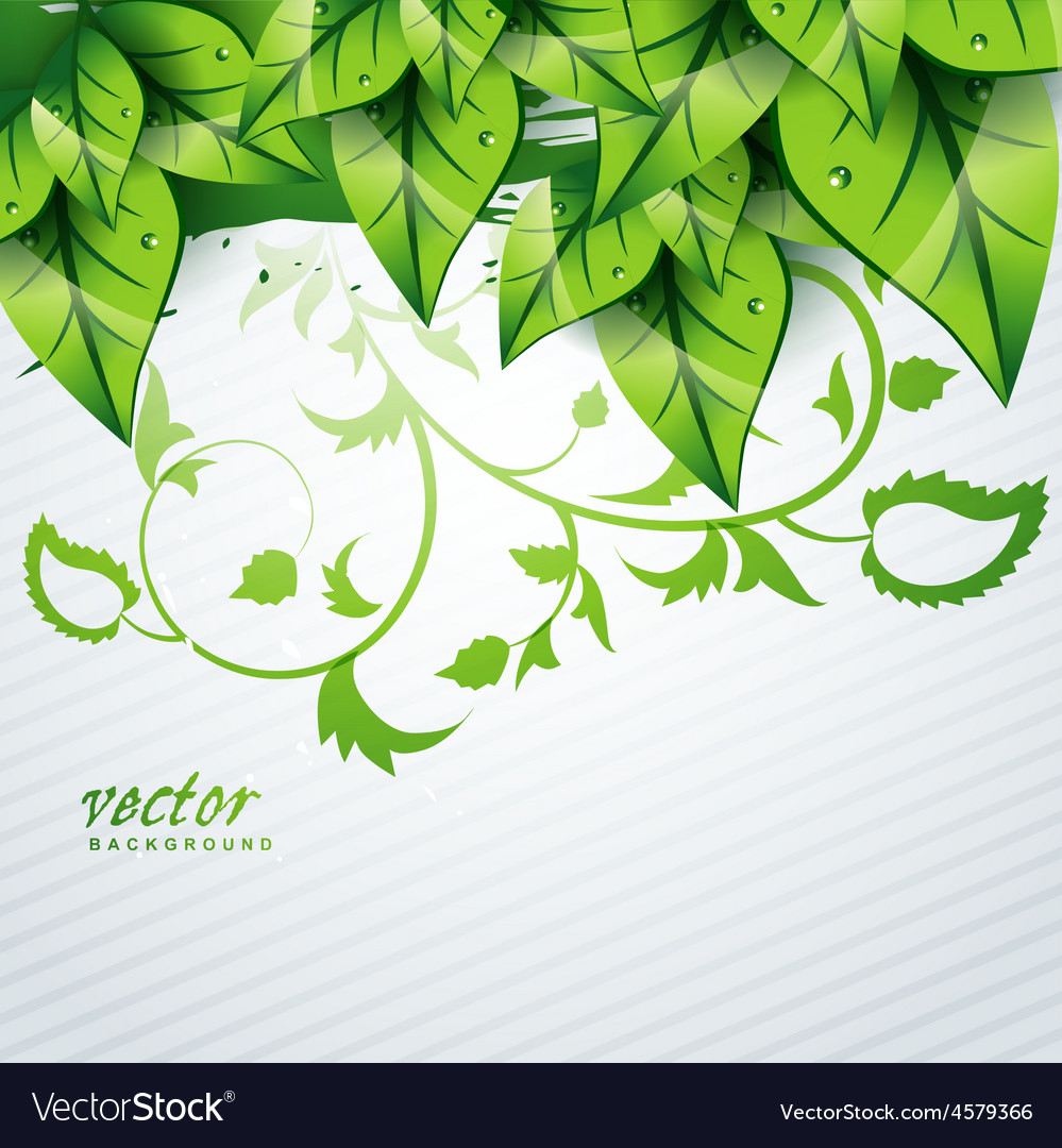 Leaf background Royalty Free Vector Image - VectorStock