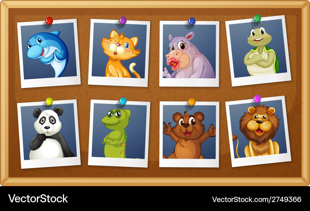 Photos of animals Royalty Free Vector Image - VectorStock