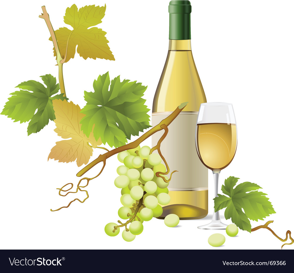 White wine Royalty Free Vector Image - VectorStock