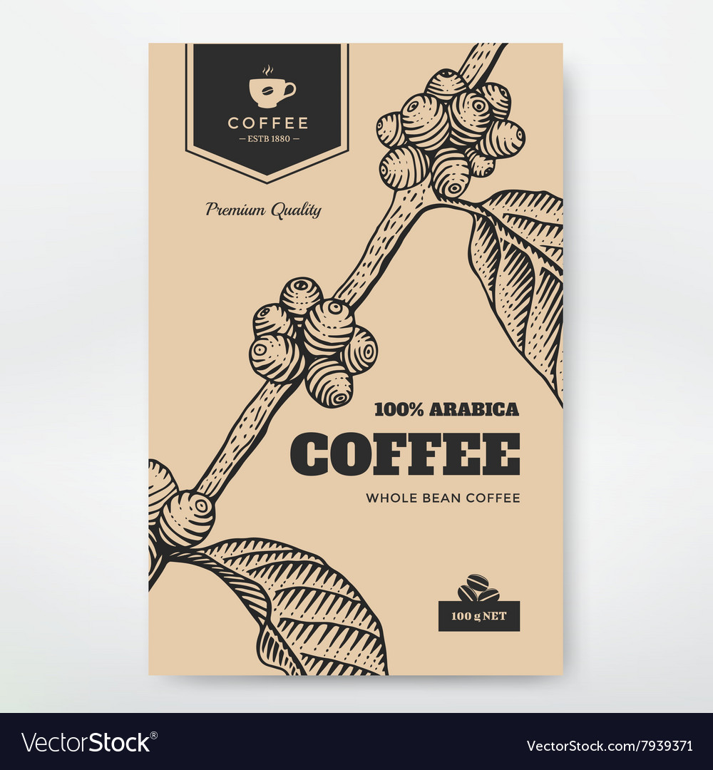 Coffee packaging design Royalty Free Vector Image