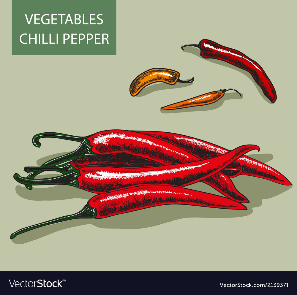 Pepper Royalty Free Vector Image - VectorStock