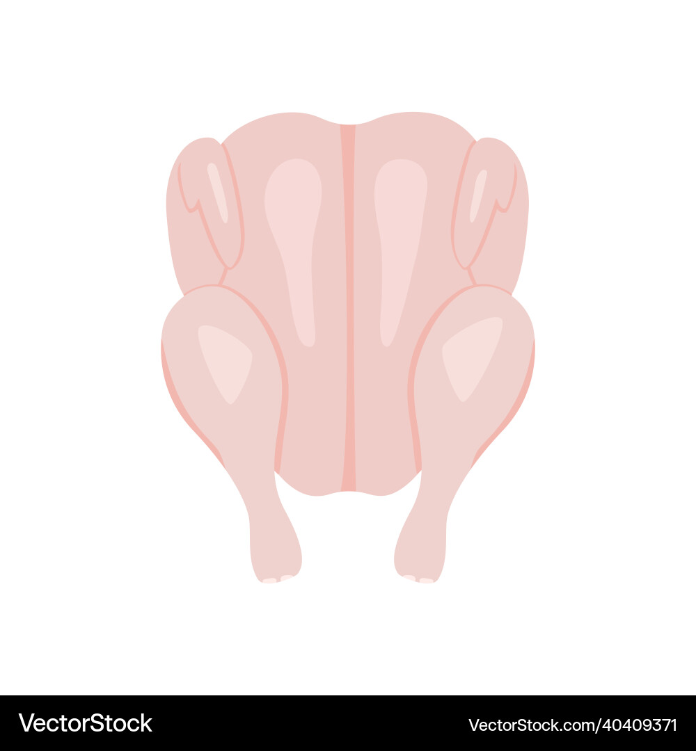 Raw chicken meat food carcass top view Royalty Free Vector