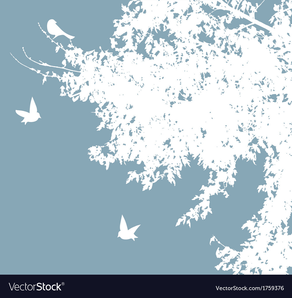 Birds Royalty Free Vector Image - VectorStock