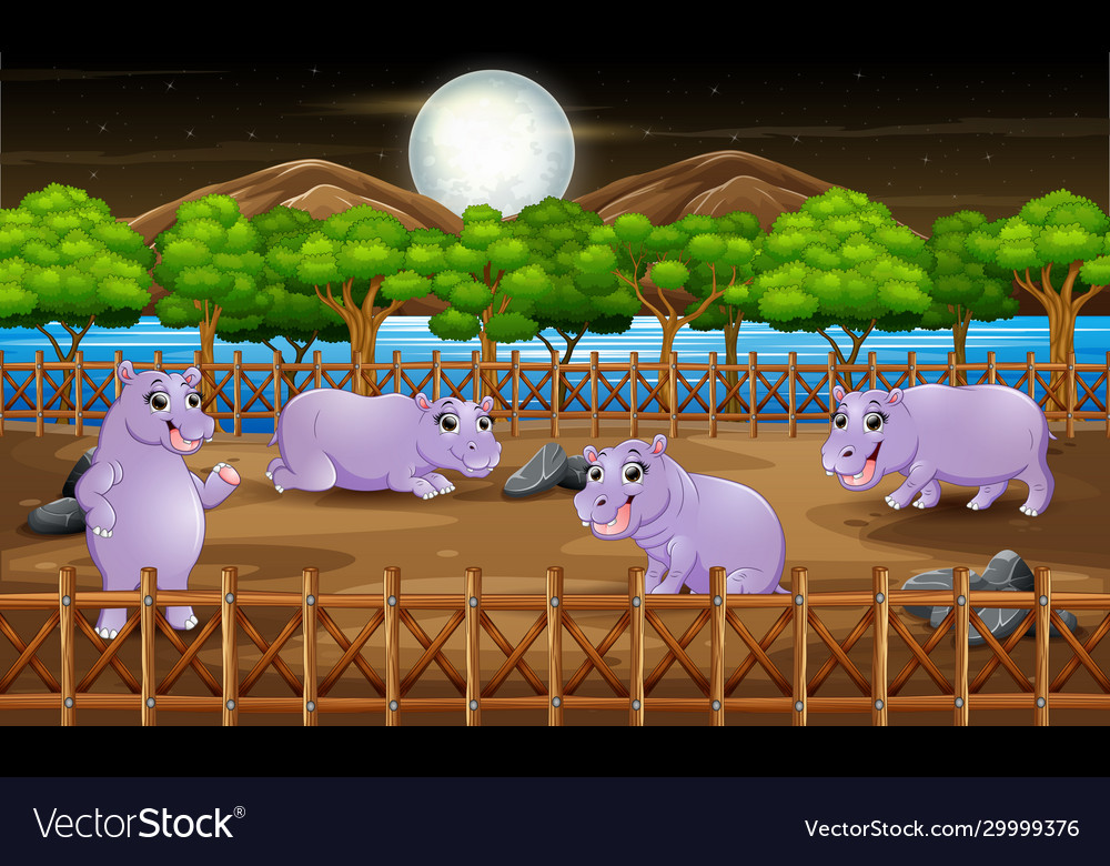 Scene a group hippo at zoo Royalty Free Vector Image
