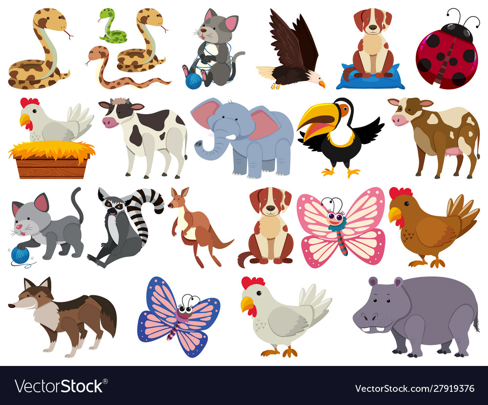 Set isolated objects animals Royalty Free Vector Image