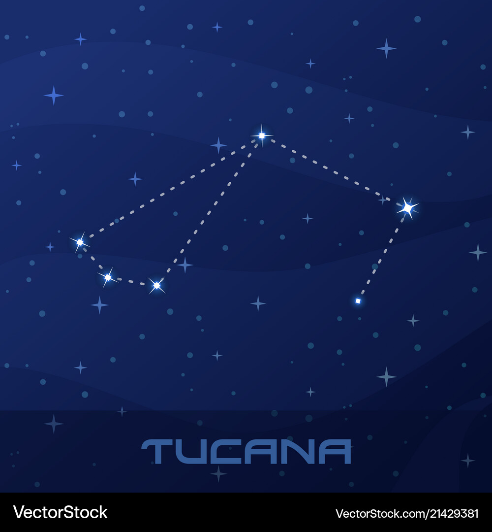 Constellation tucana toucan night star sky Vector Image