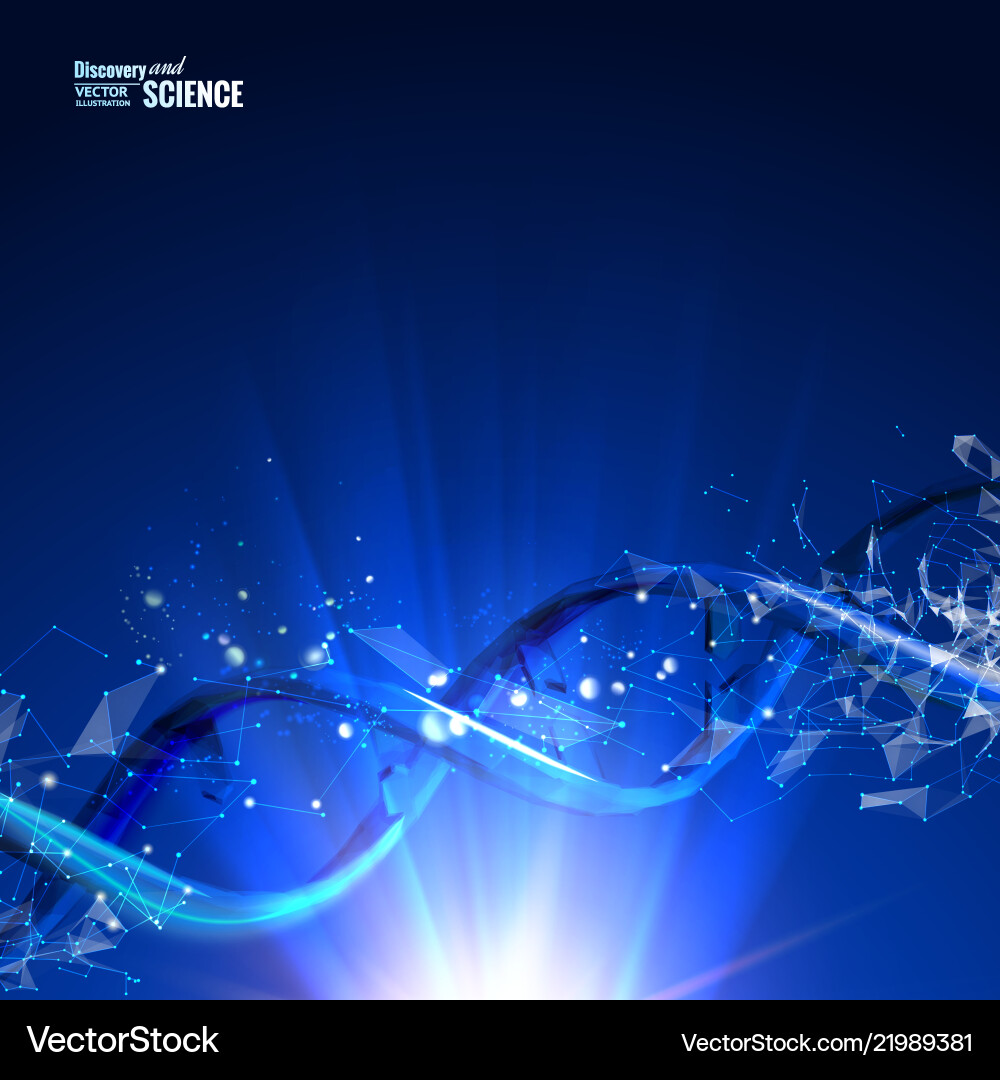 Science concept image of human dna blue light Vector Image