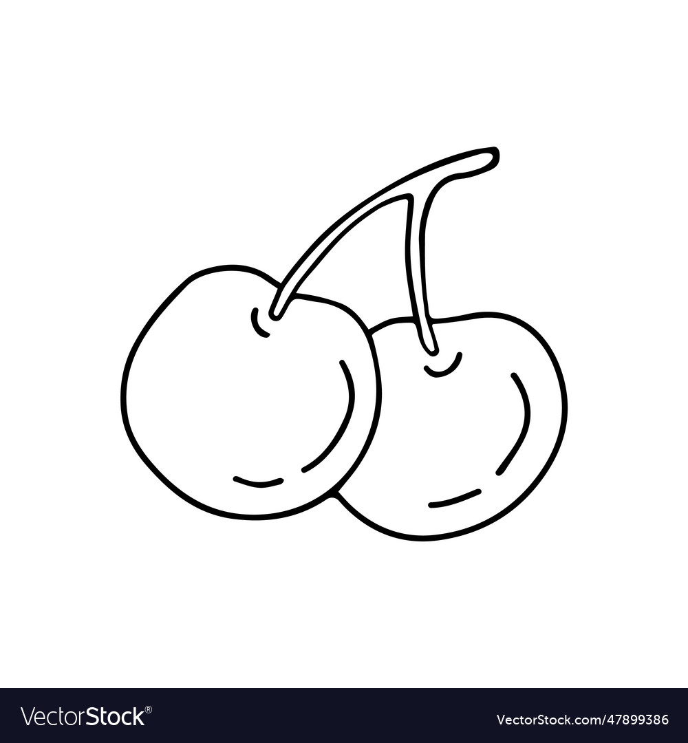 Hand Drawn Cherry Royalty Free Vector Image Vectorstock