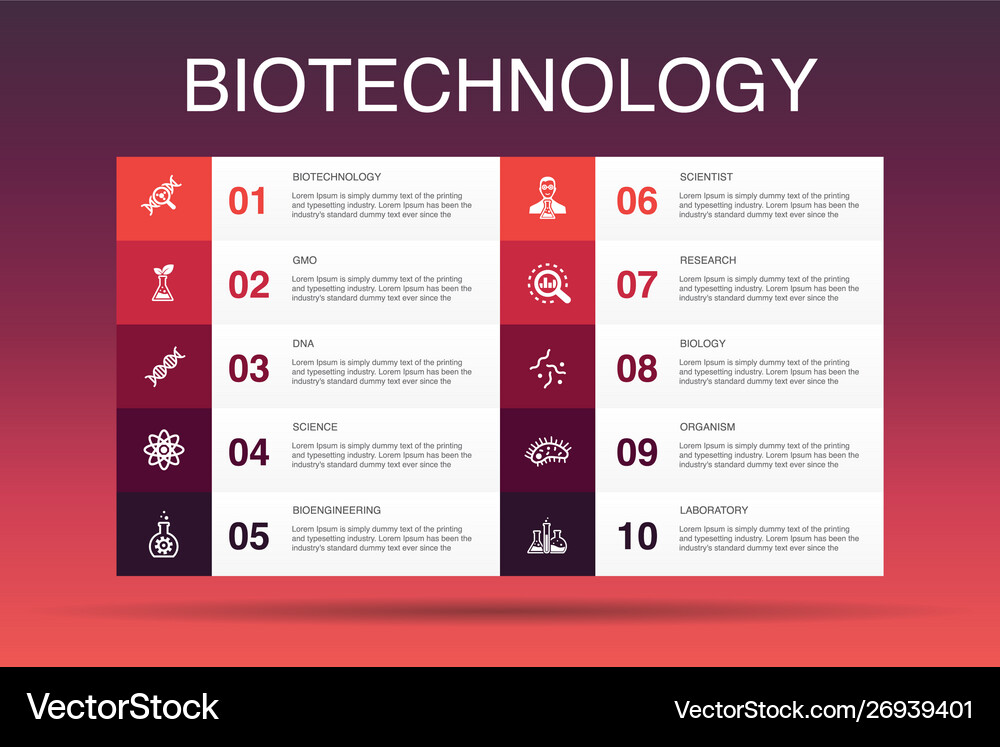 Biotechnology infographic 10 option templatedna Vector Image