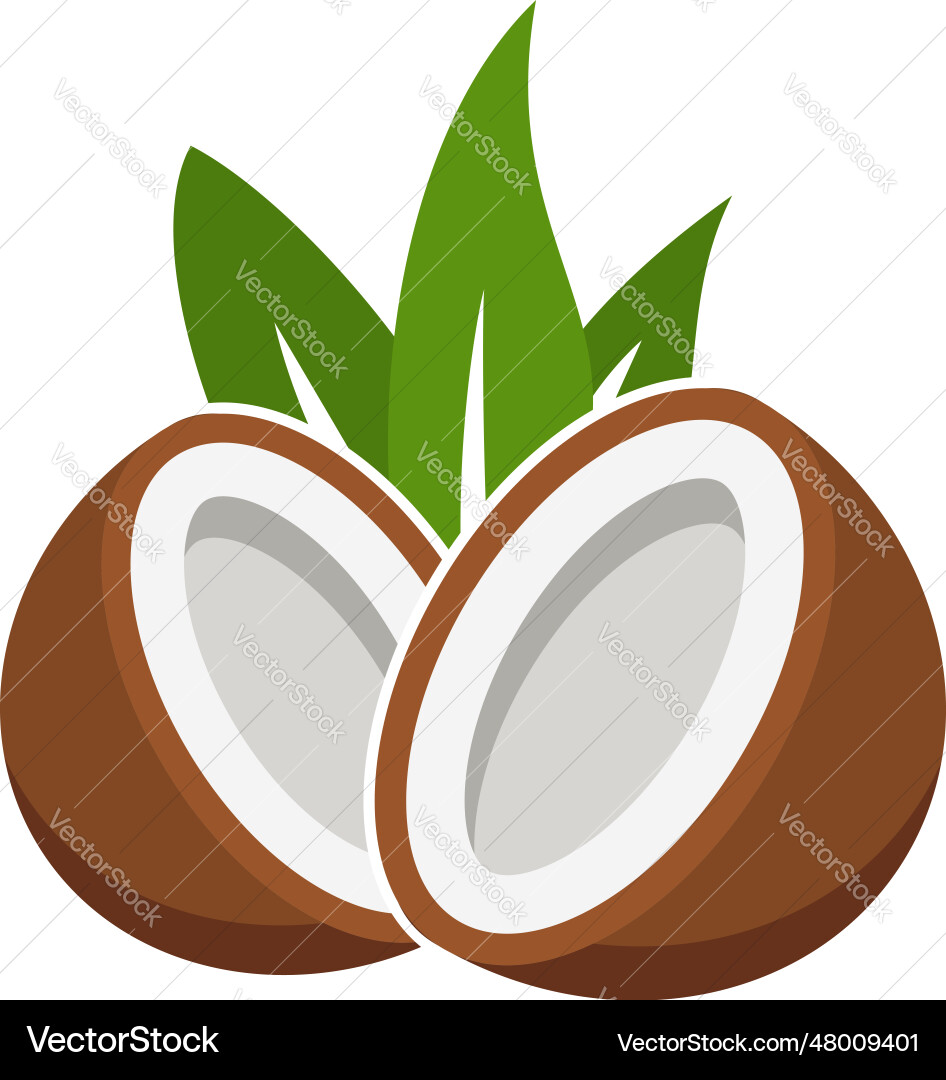 Two halves of coconut fruit Royalty Free Vector Image