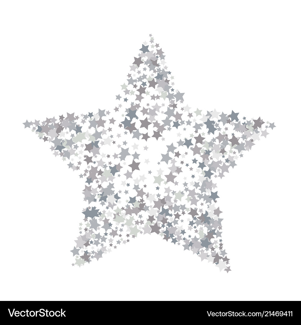 Silver star banner simple form template card vip Vector Image