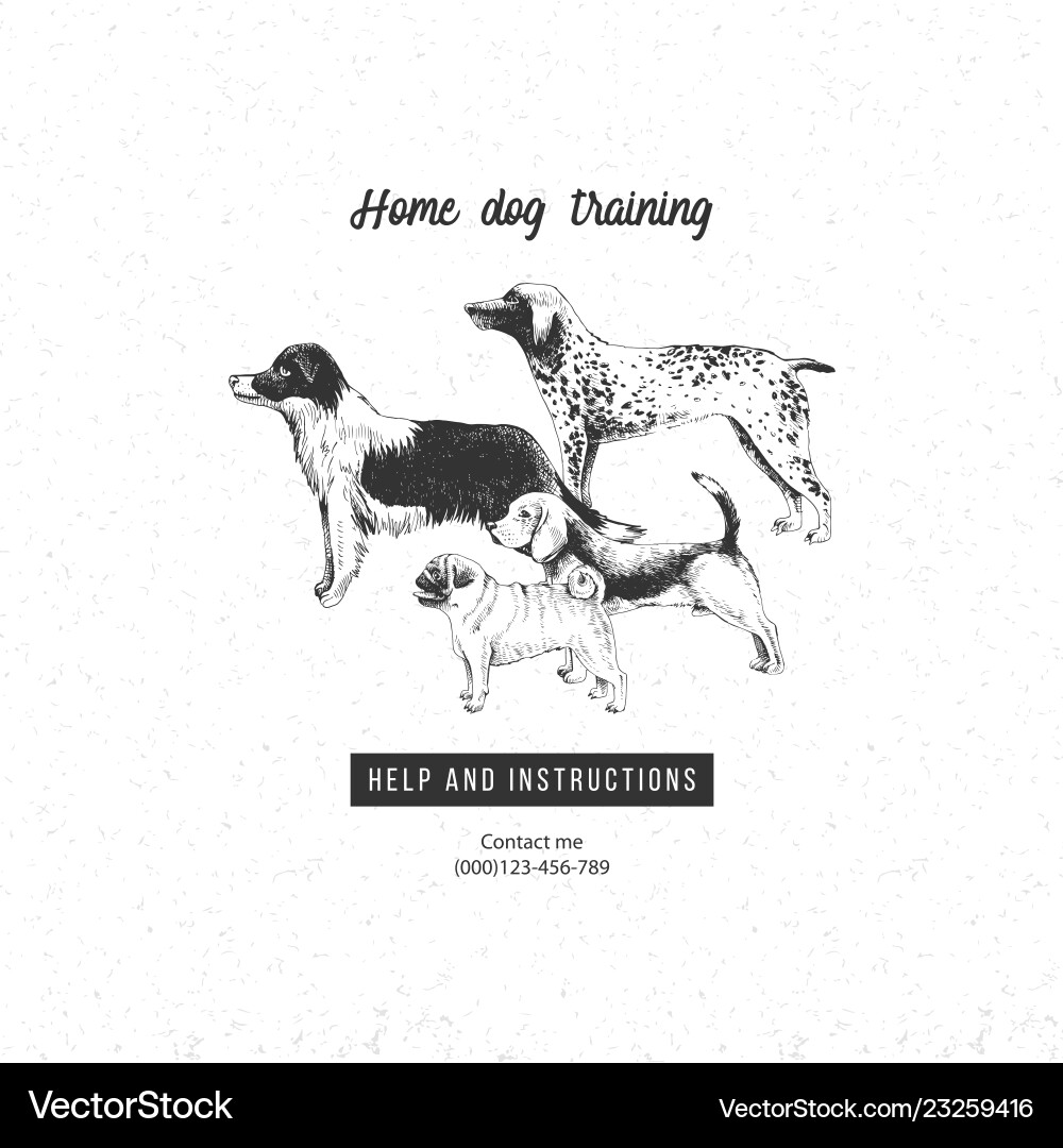 Background with hand drawn dogs for dog training Vector Image