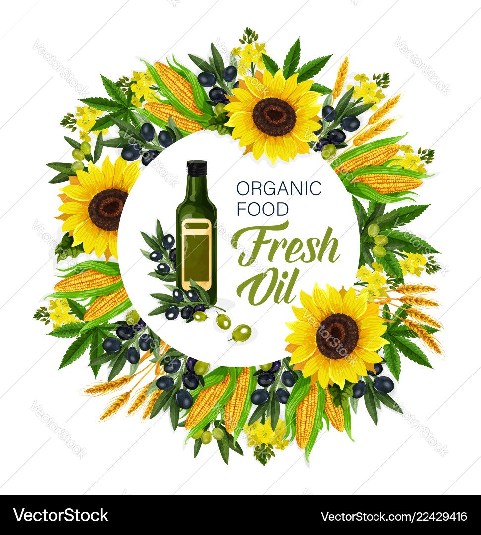 Natural oil and ingredients Royalty Free Vector Image