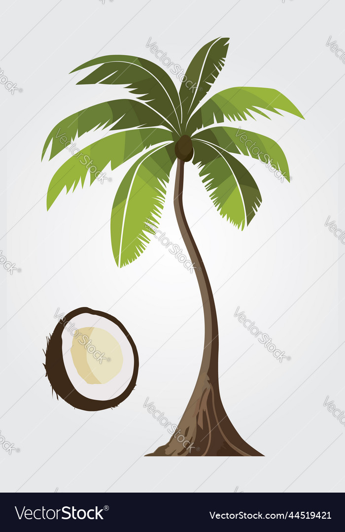 Coconut tree Royalty Free Vector Image - VectorStock
