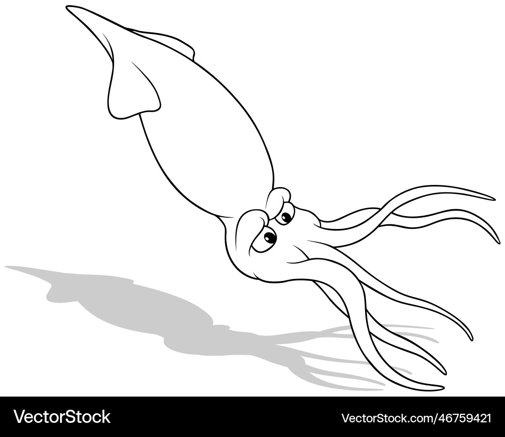 Drawing of a floating squid Royalty Free Vector Image