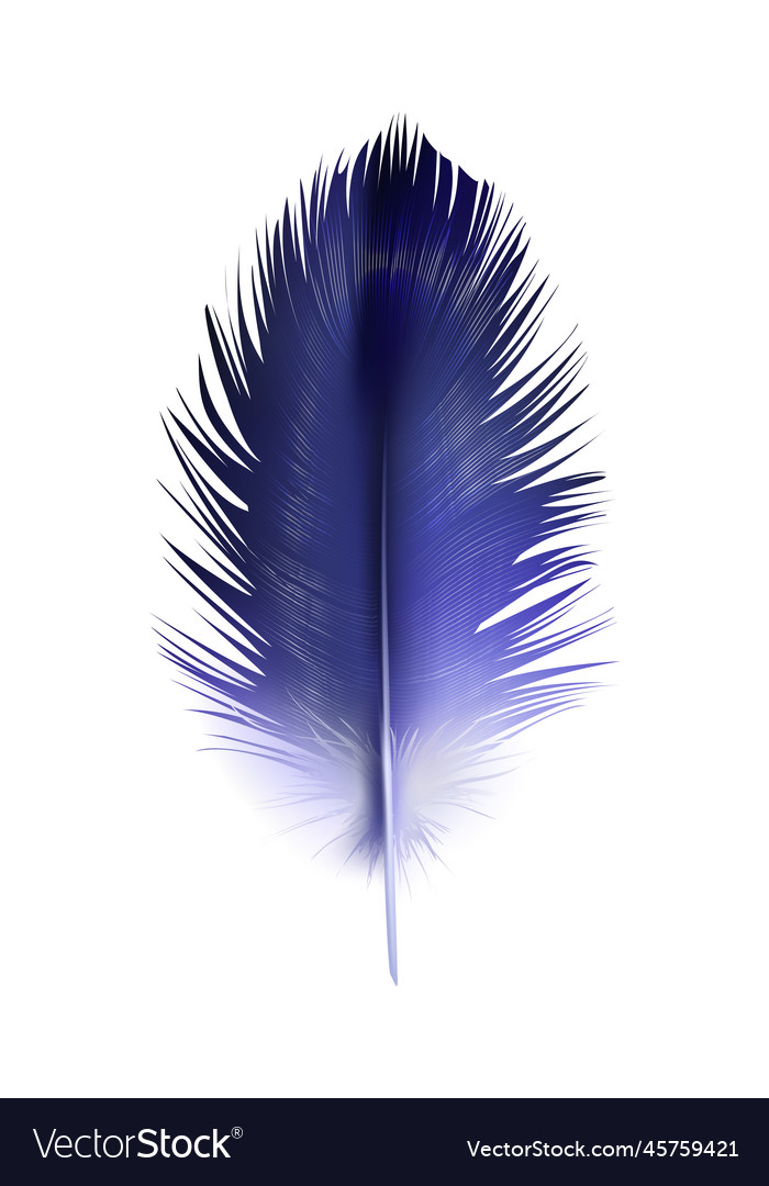 Dyed indigo feather composition Royalty Free Vector Image