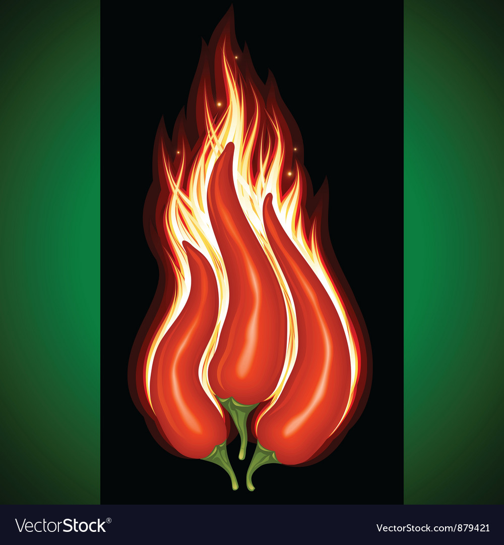Hot chili pepper Royalty Free Vector Image - VectorStock