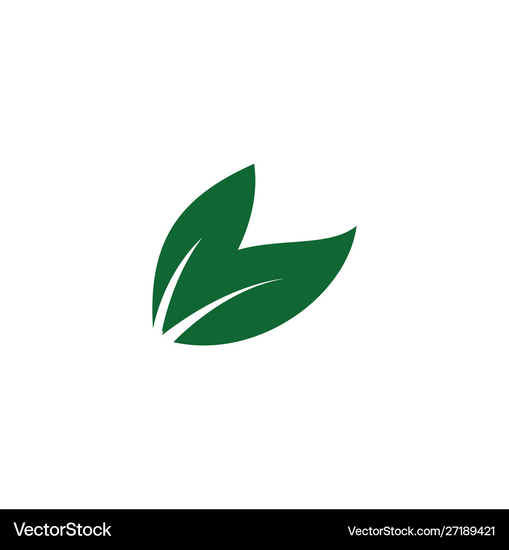 Leaf icons design leaves green concept isolated Vector Image