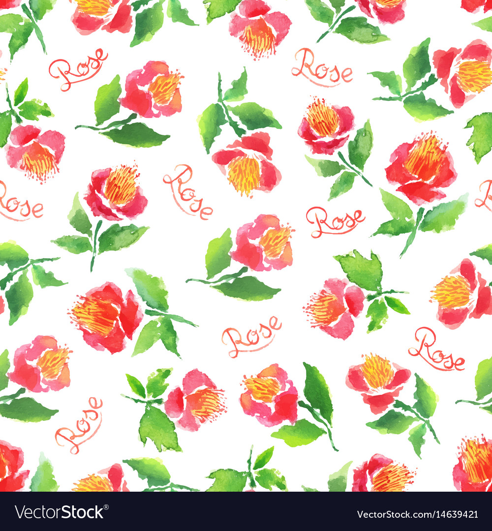 Watercolor rose pattern Royalty Free Vector Image