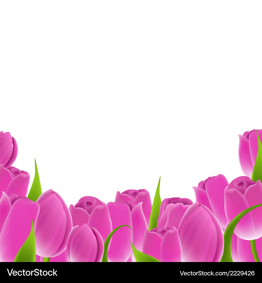 Frame Of Pink Tulips Royalty Free Vector Image