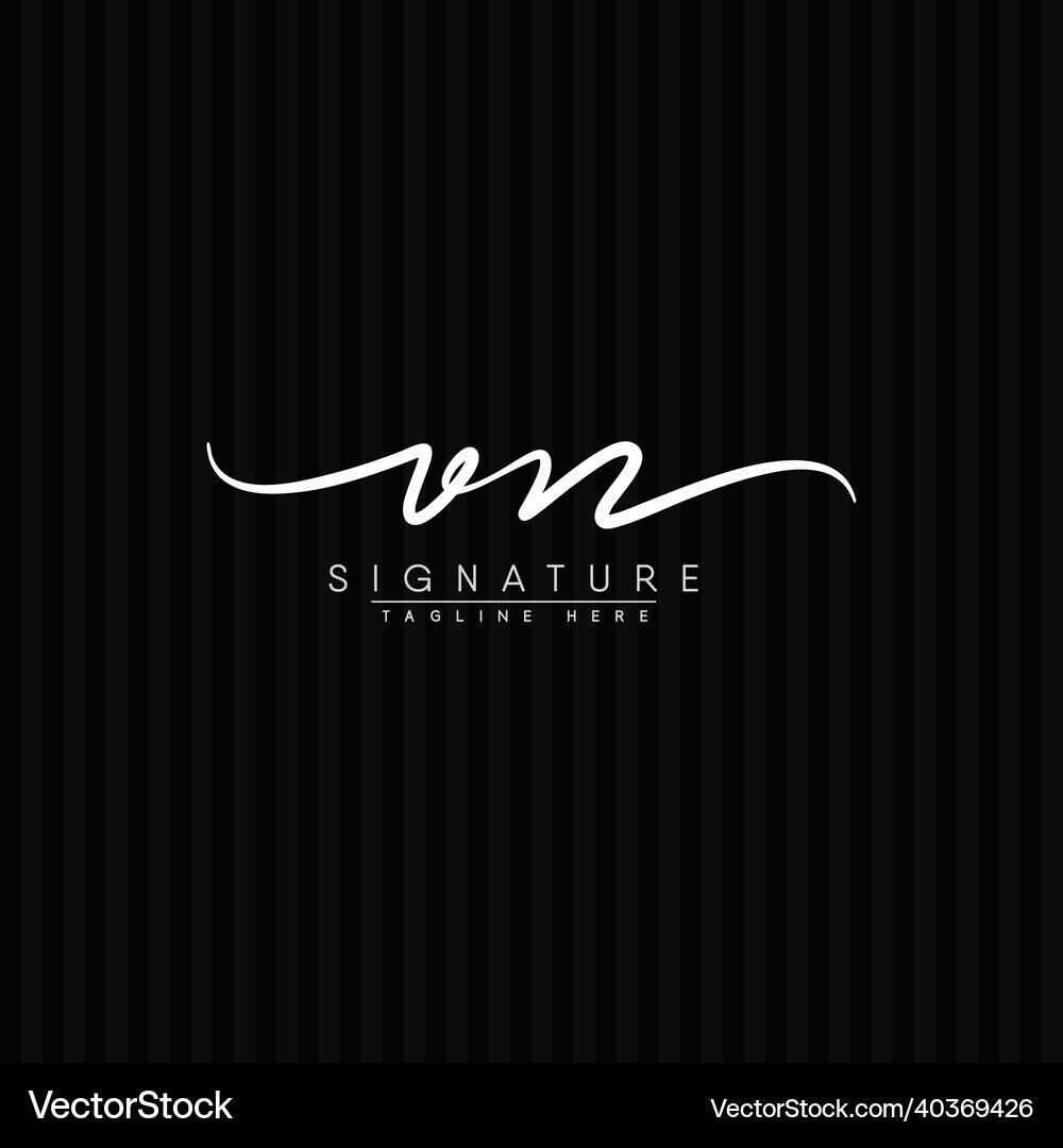 Initial letter vn logo - hand drawn signature Vector Image