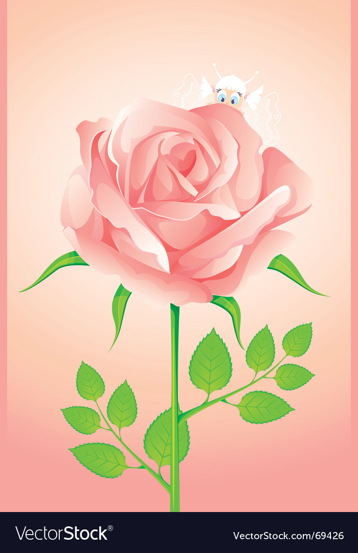 Rose Royalty Free Vector Image - VectorStock