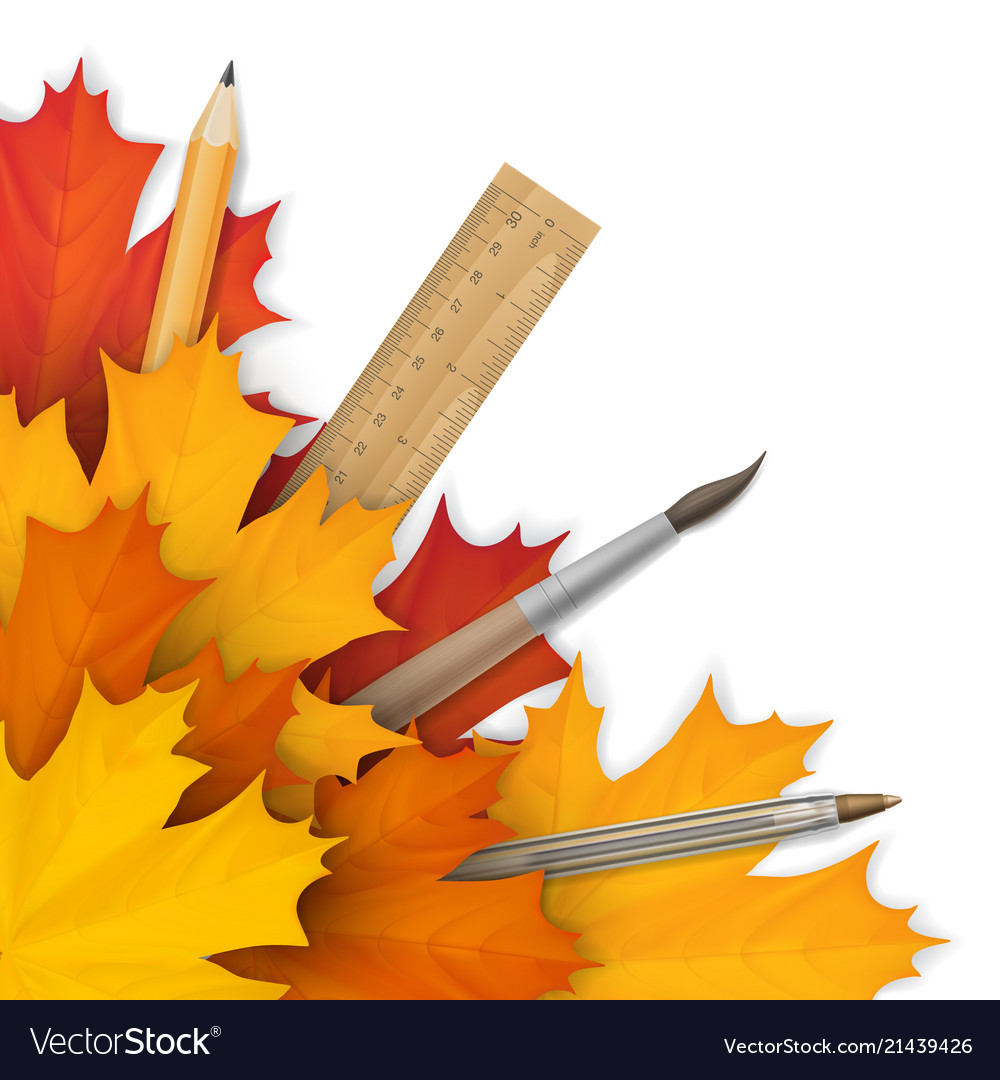 School accessories in the autumn foliage Vector Image
