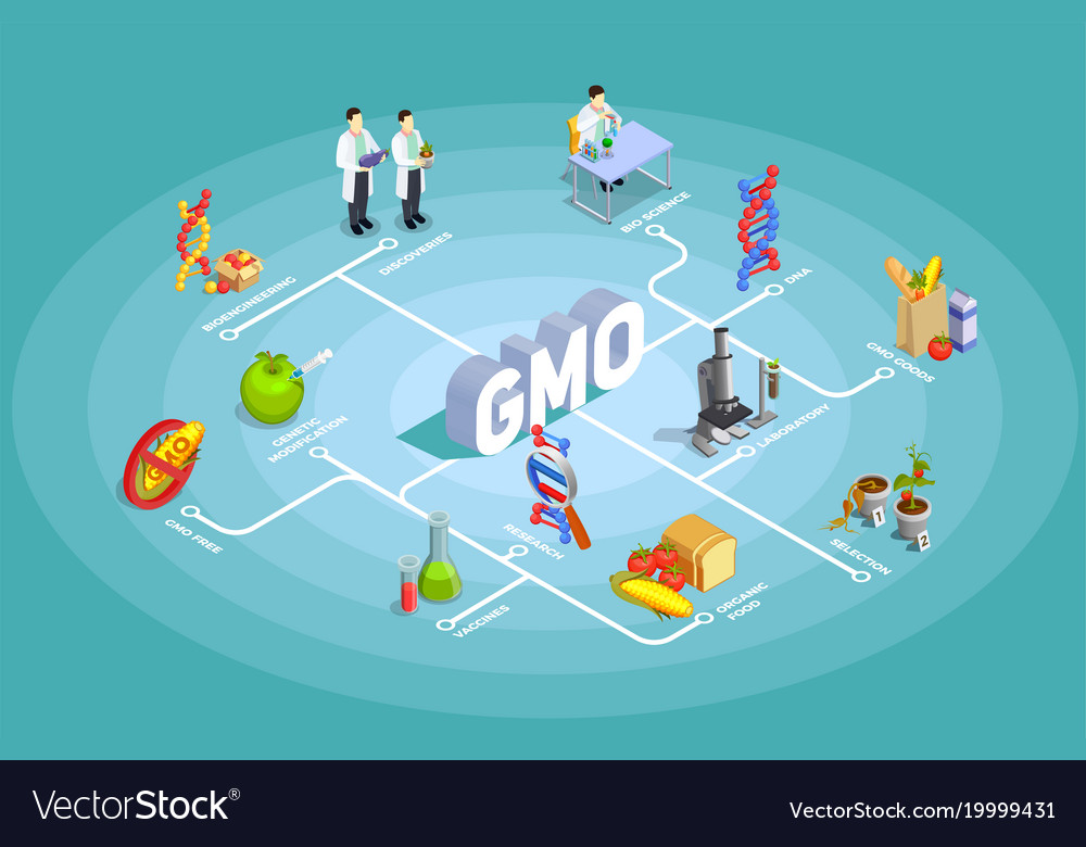 Genetically modified organisms isometric flowchart