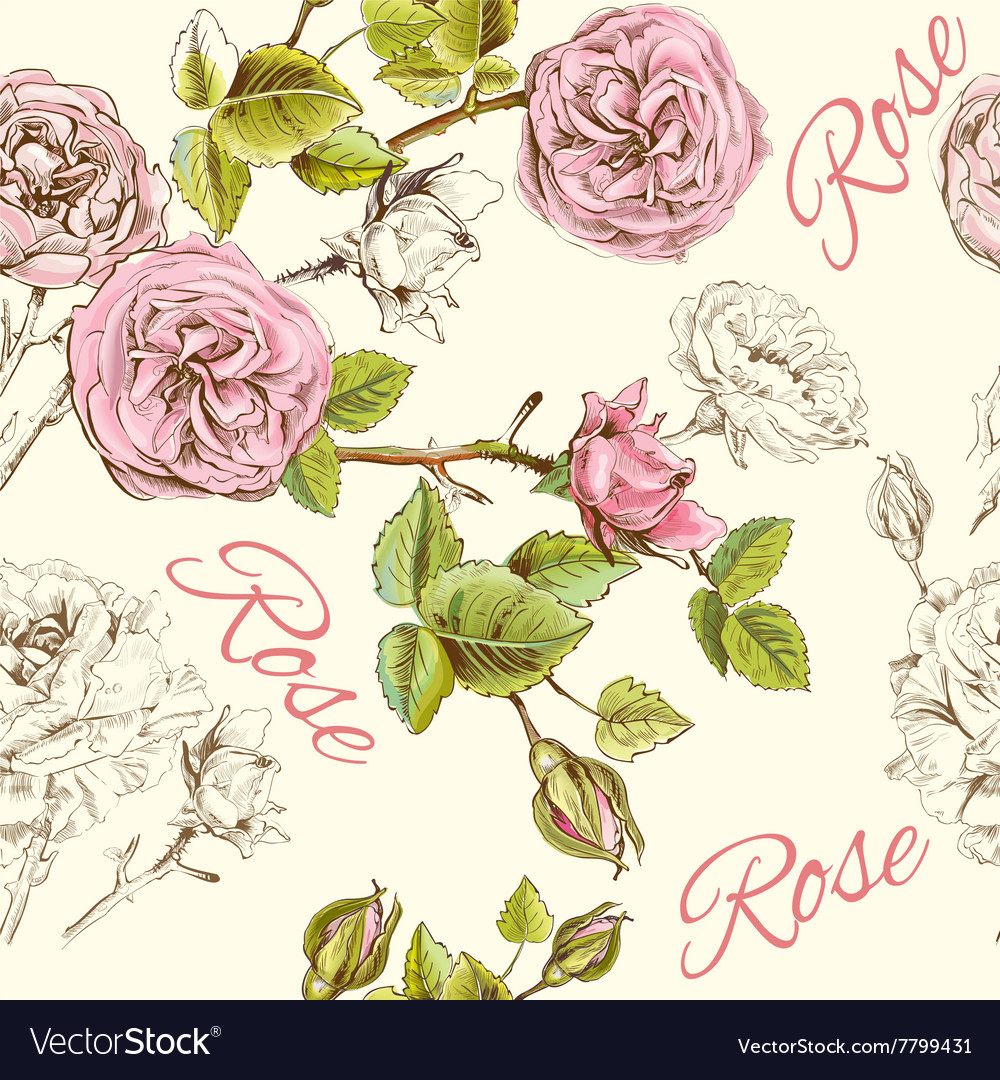 Rose flower pattern Royalty Free Vector Image - VectorStock