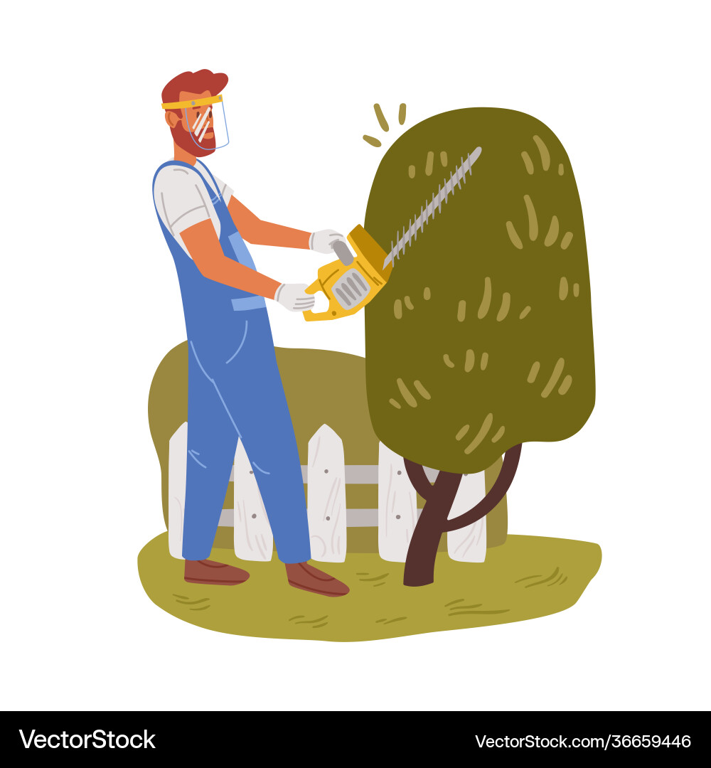 Man trimming plant with hedge trimmer Royalty Free Vector