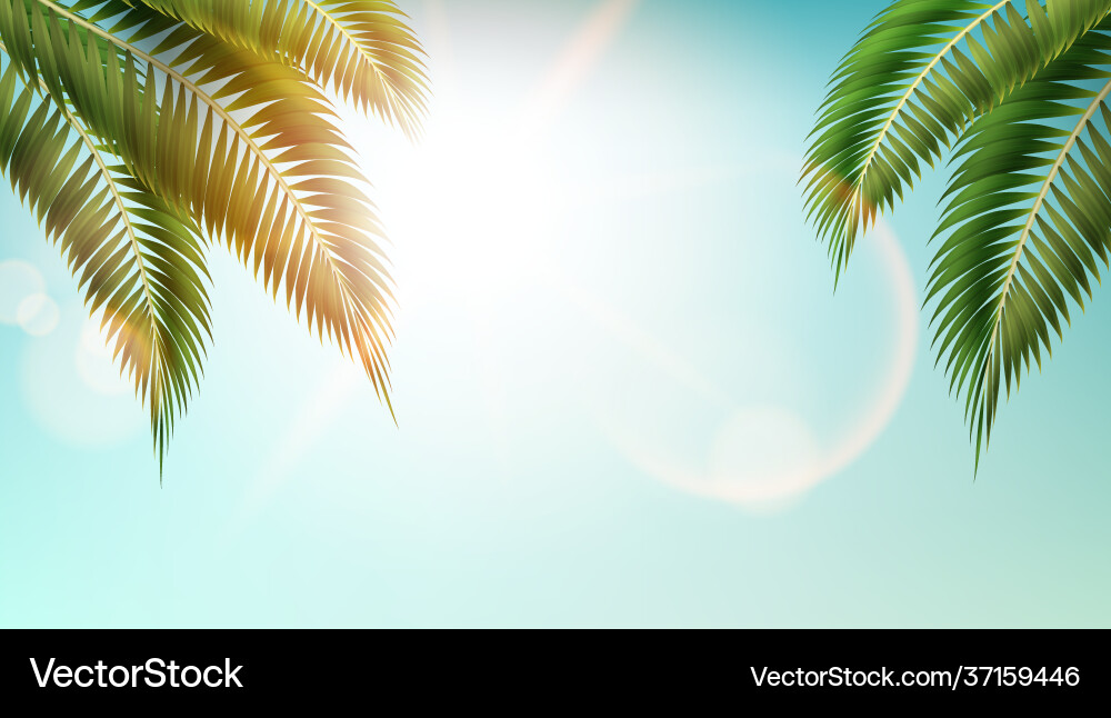 Realistic nature palm leafes on tropical beach Vector Image