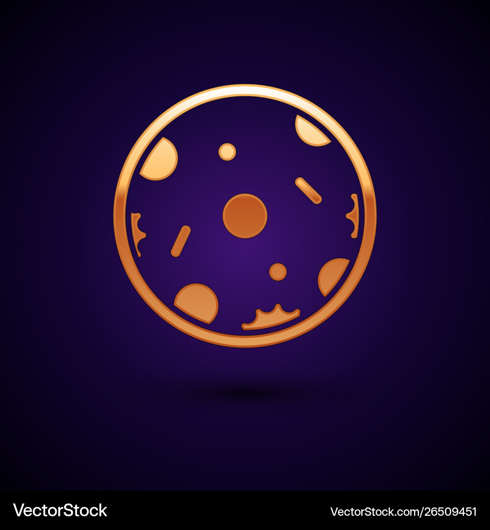 Gold pizza icon isolated on dark blue background Vector Image