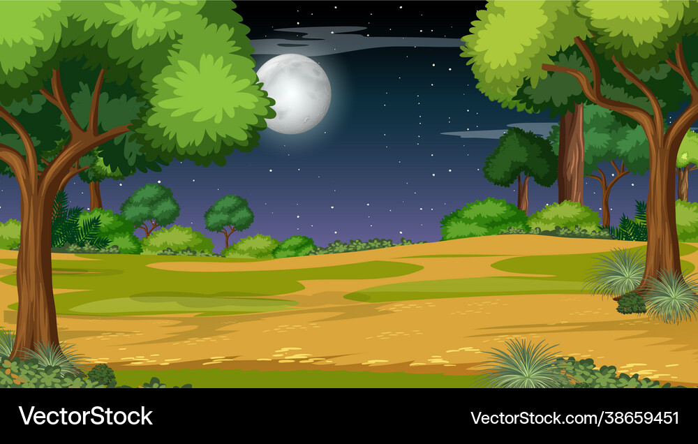 Nature forest landscape at night scene Royalty Free Vector