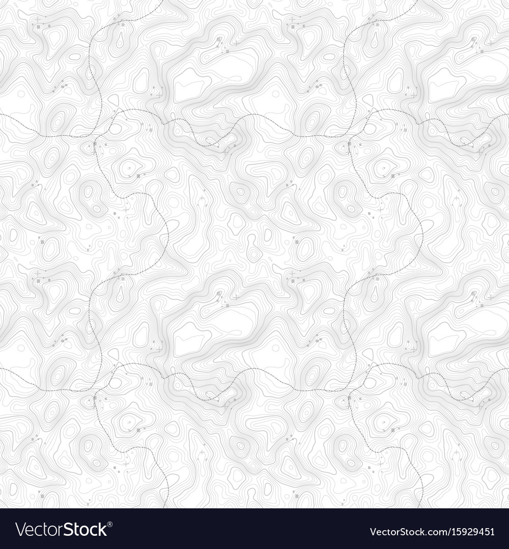 Seamless pattern topographic map background Vector Image