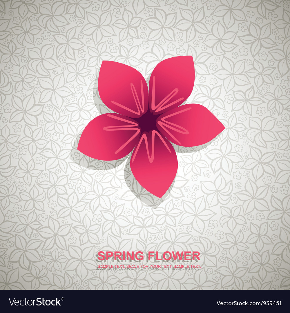 Spring flower background Royalty Free Vector Image