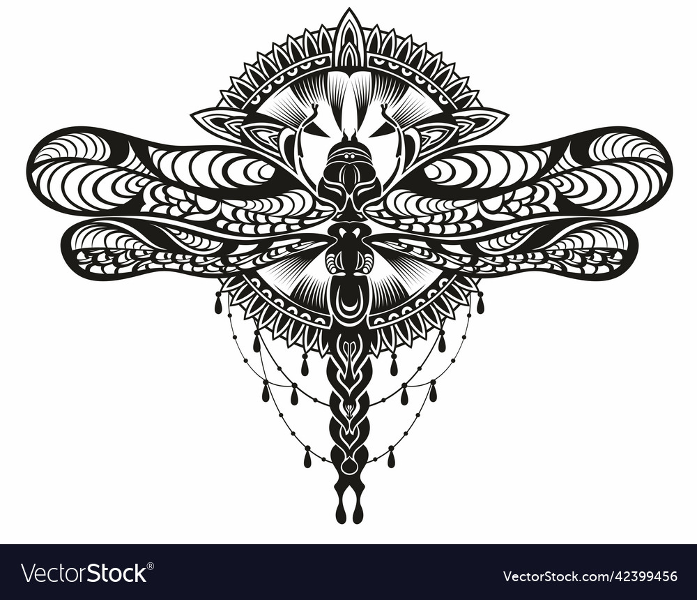Dragonfly Royalty Free Vector Image - VectorStock
