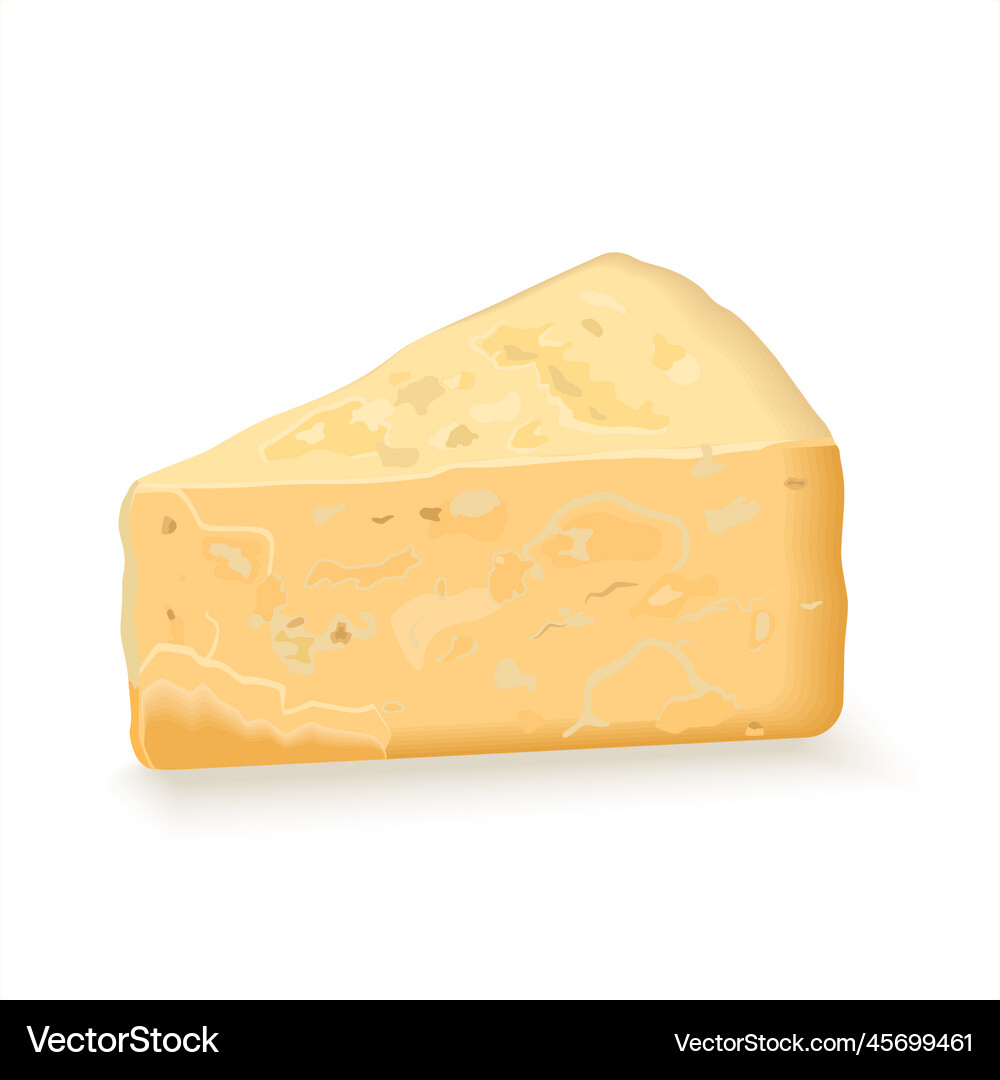 A slice of parmesan cheese Royalty Free Vector Image