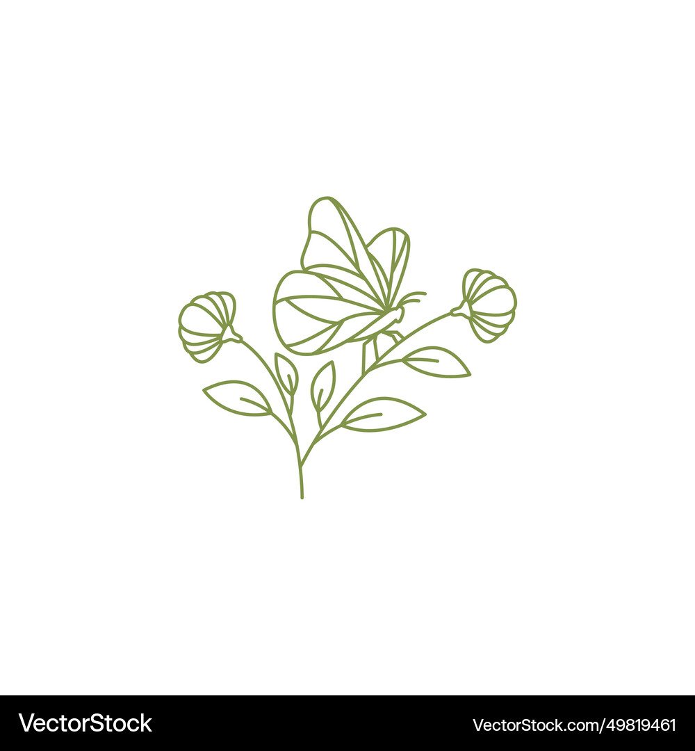 Beautiful insect butterfly icon logo design Vector Image
