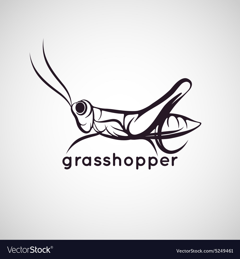 Grasshopper Royalty Free Vector Image - VectorStock
