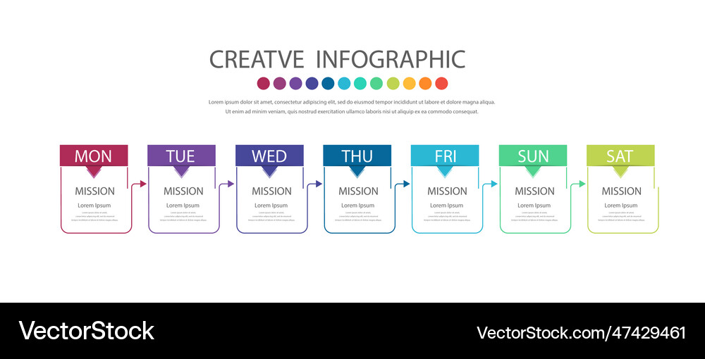 Timeline business for 7 day options infographic Vector Image