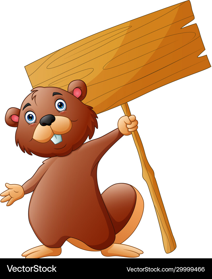 A beaver holding sign board on white background Vector Image
