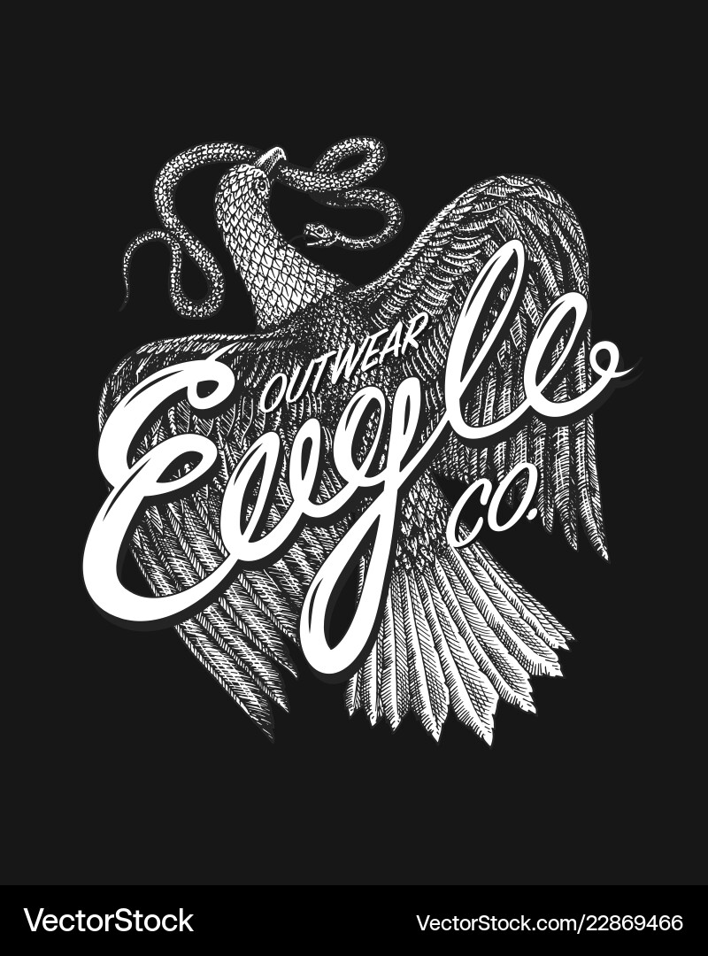 Aquila symbol freedom wild eagle predatory Vector Image