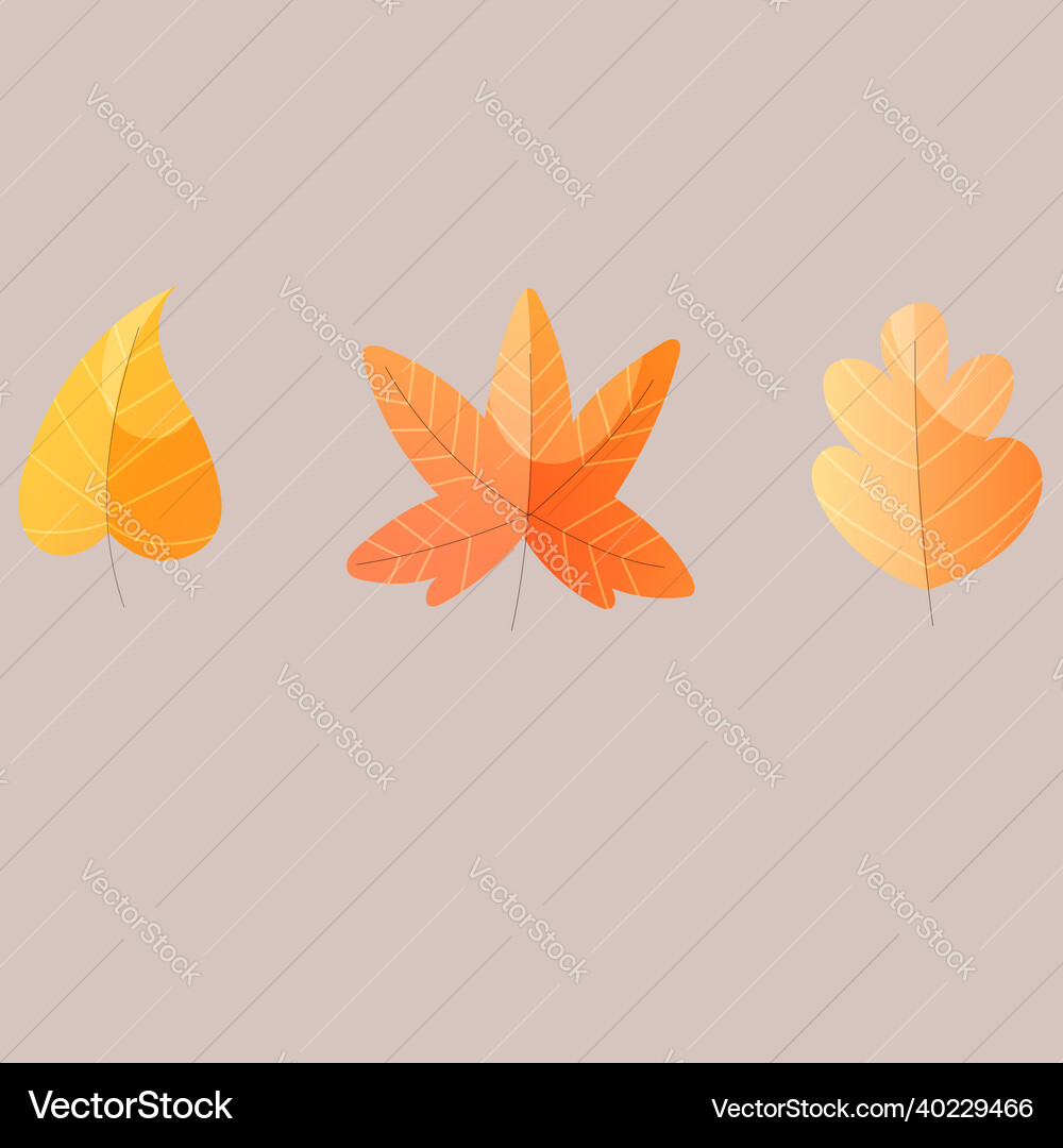 Autumn leaves badge Royalty Free Vector Image - VectorStock